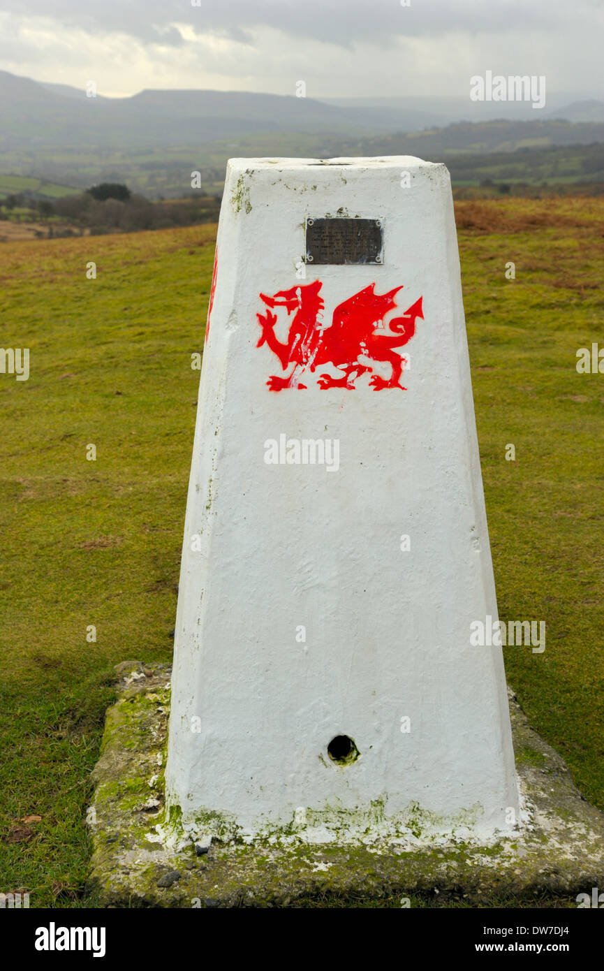 Brechfa Common Trig point Stock Photo - Alamy