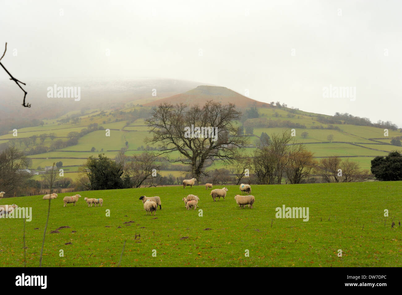 Table mountain, Crickhowell in the mist Stock Photo - Alamy