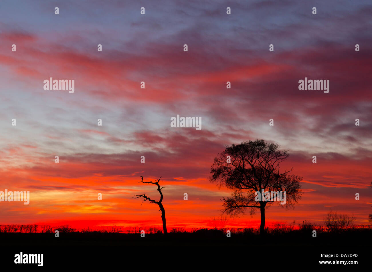 Sunset in Norfolk Broads at Martham, UK. December Stock Photo - Alamy