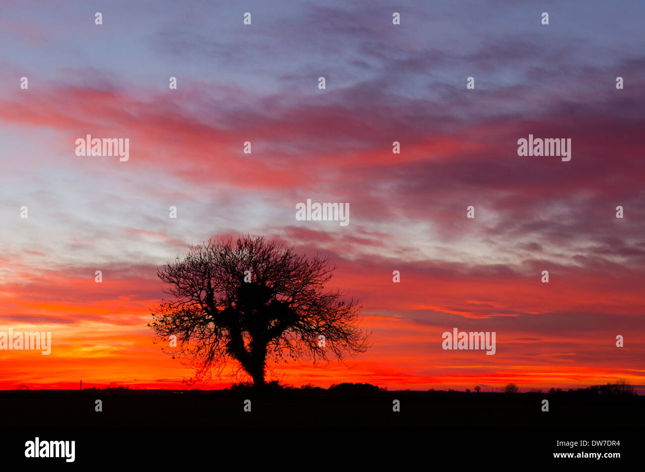 Sunset in Norfolk Broads at Martham, UK. December Stock Photo - Alamy