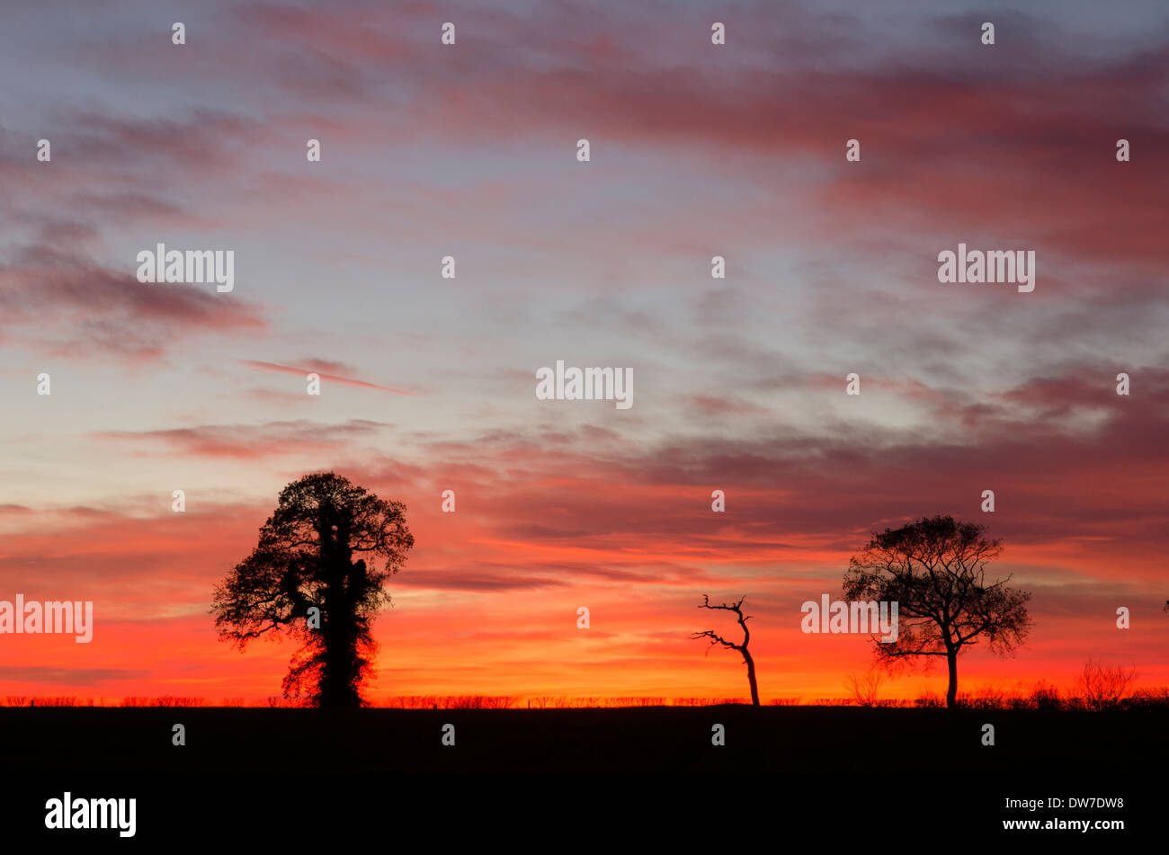 Norfolk uk december hi-res stock photography and images - Alamy
