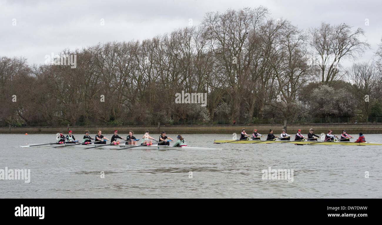 Cambridge holly hi-res stock photography and images - Alamy