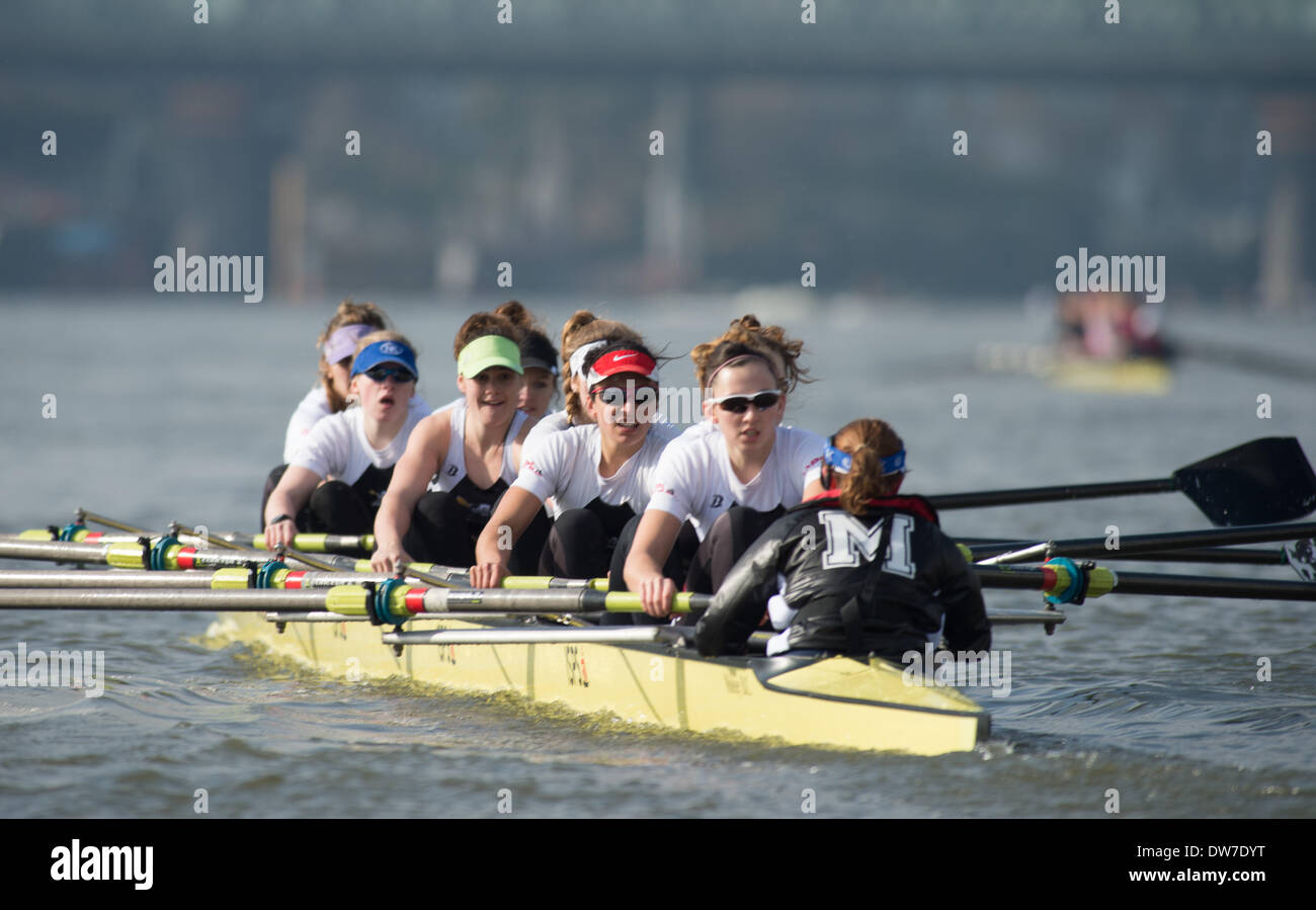 Amber anderson emma hi-res stock photography and images - Alamy