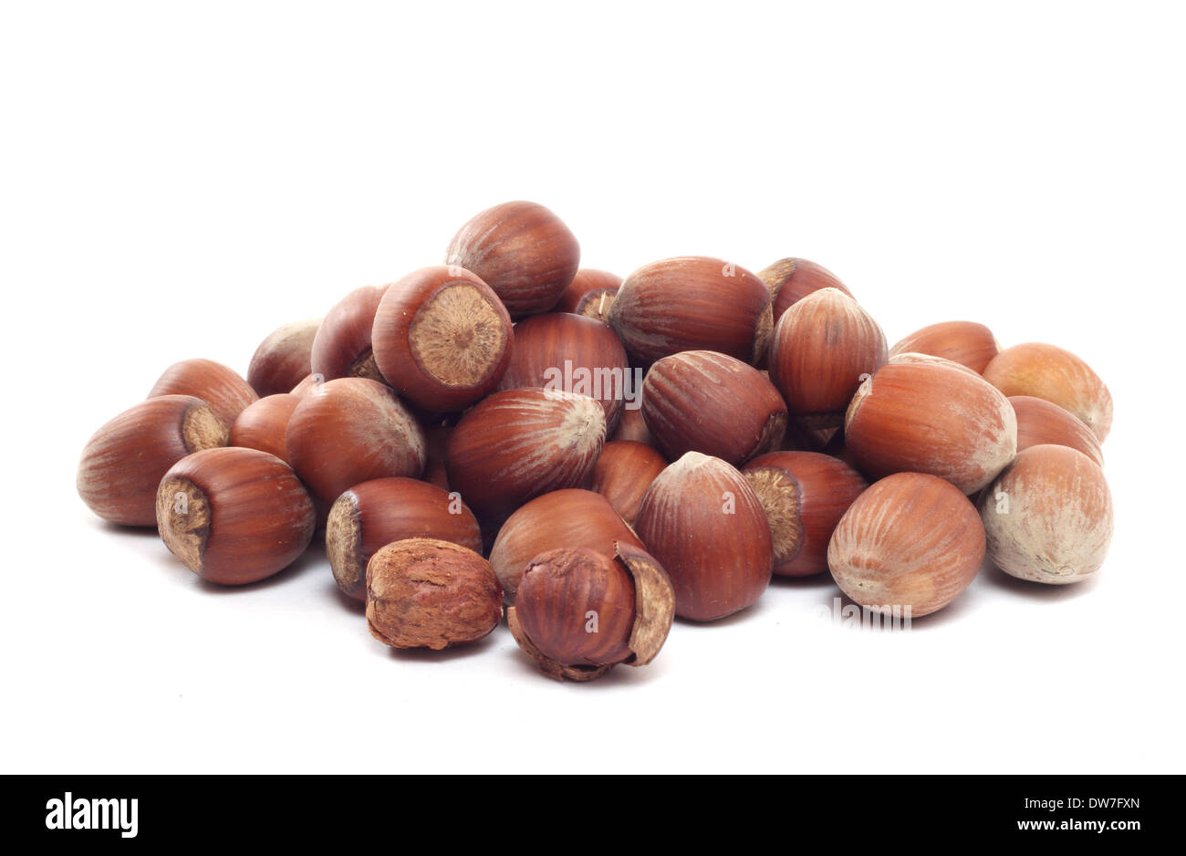Forest hazelnuts isolated on white background Stock Photo - Alamy