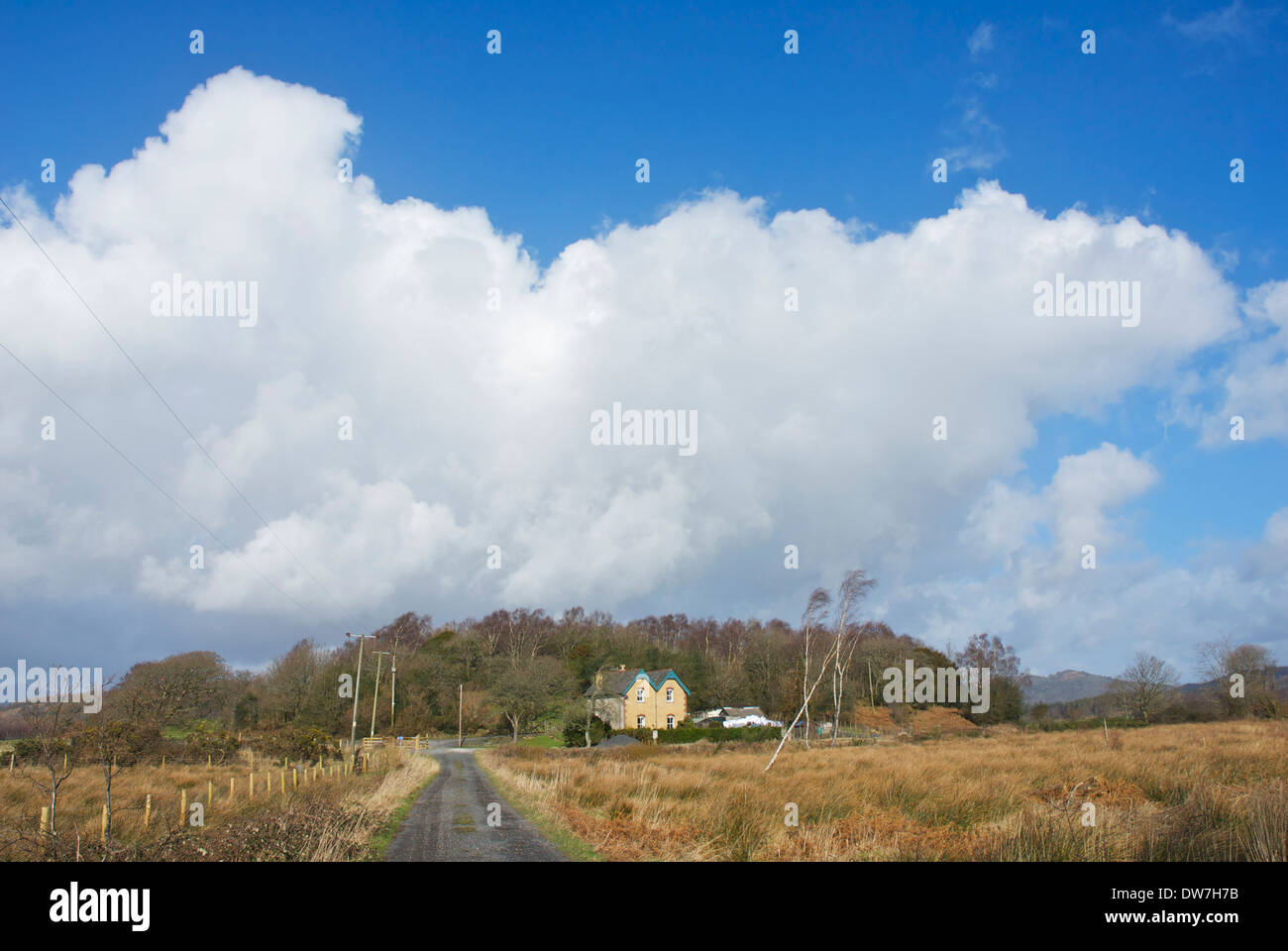 Greenodd hi-res stock photography and images - Alamy