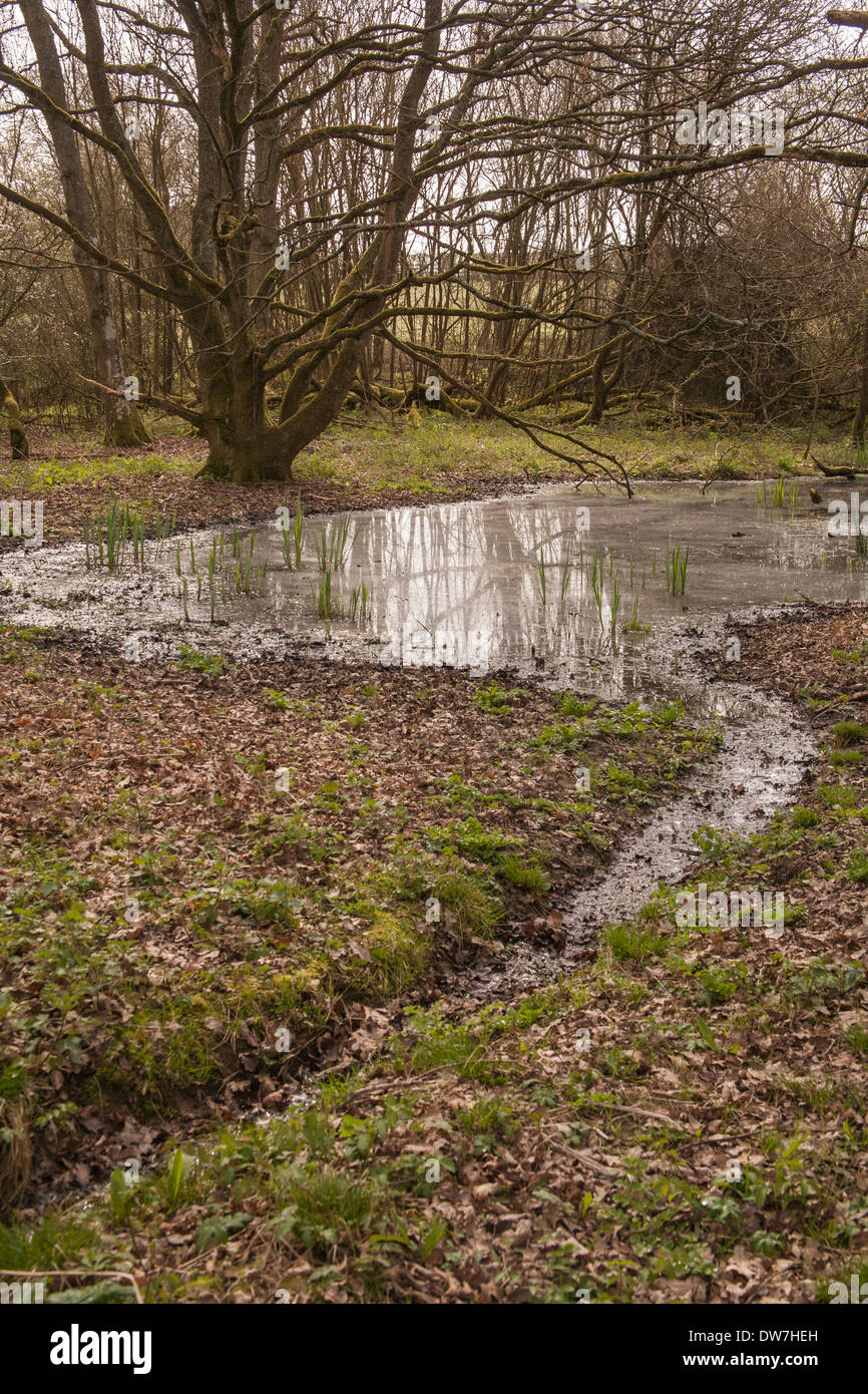 Water lake reflections hi-res stock photography and images - Alamy