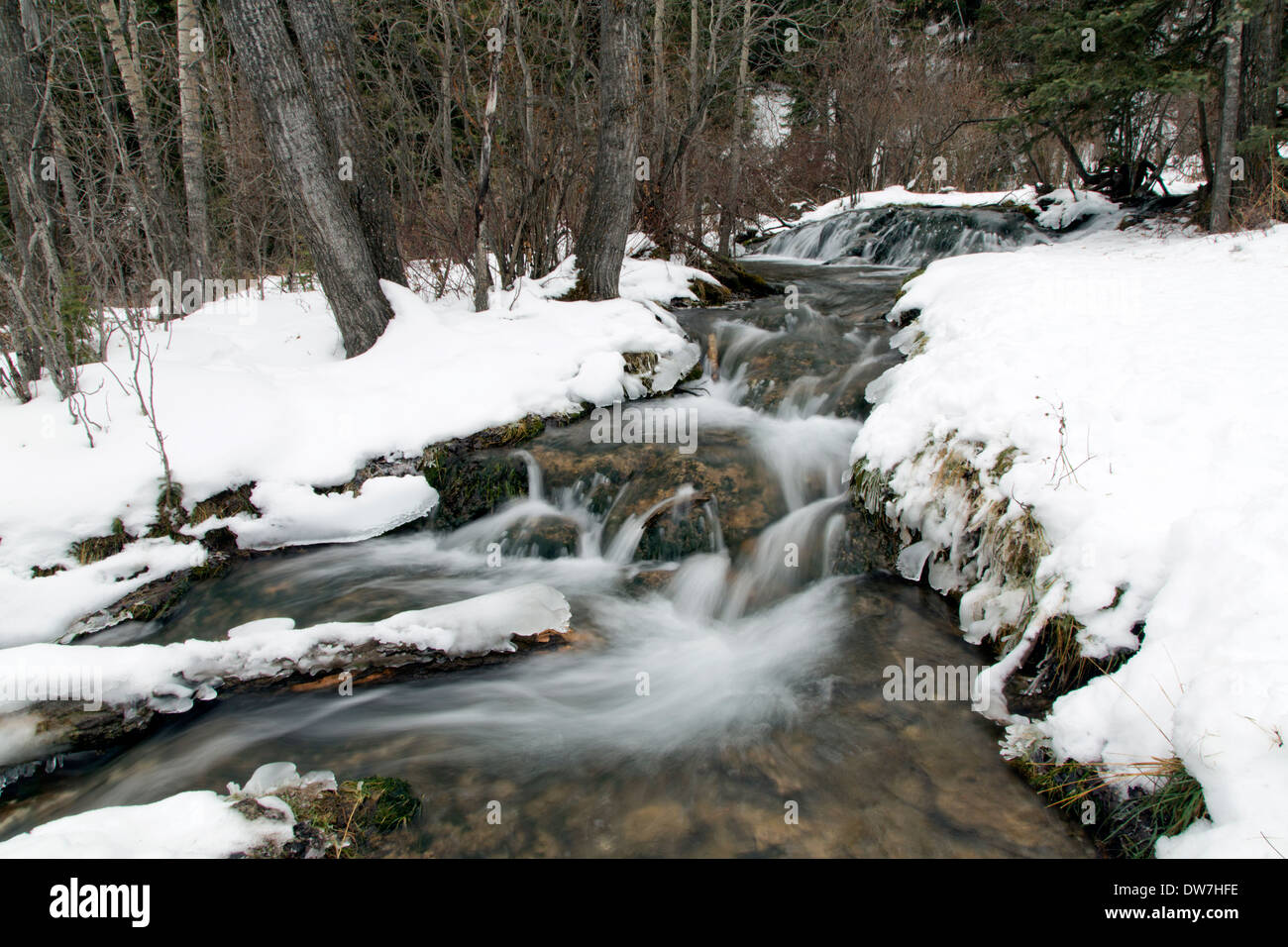 Big springs park hi-res stock photography and images - Alamy