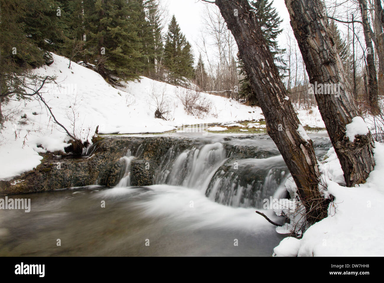 Small family in winter forest hi-res stock photography and images - Alamy