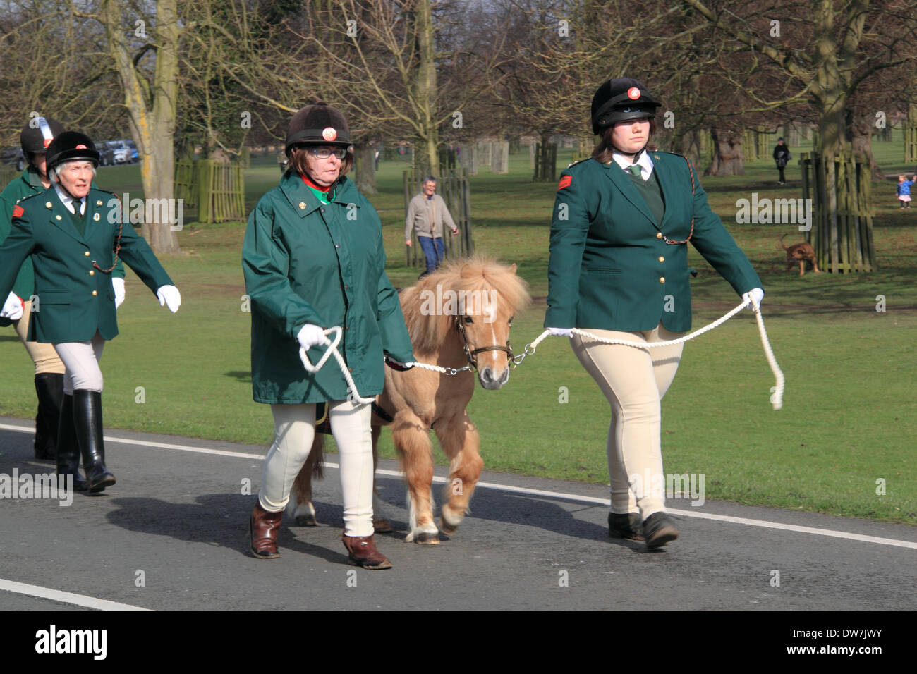 Richmond Park Horse Rider High Resolution Stock Photography and Images ...
