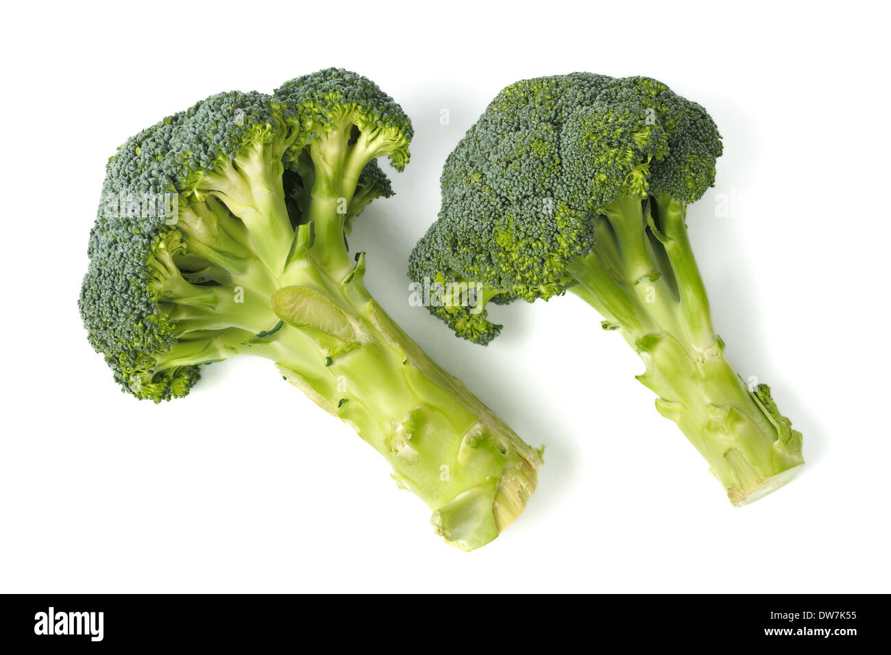 Two green broccoli on Cut Out Stock Images & Pictures - Alamy