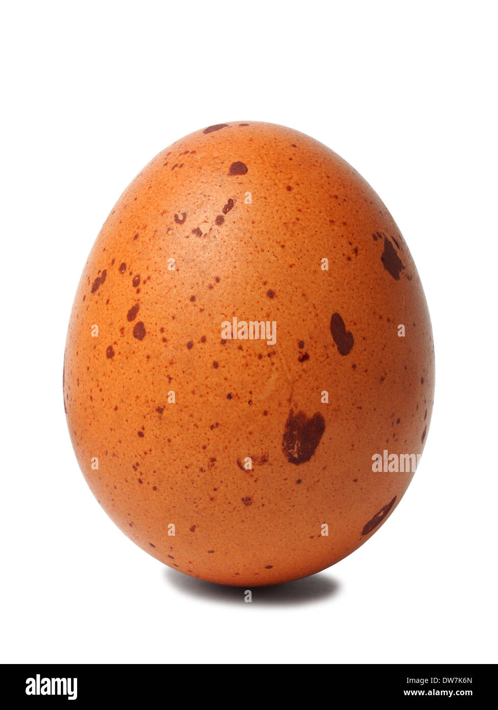 Columbus and egg hi-res stock photography and images - Alamy