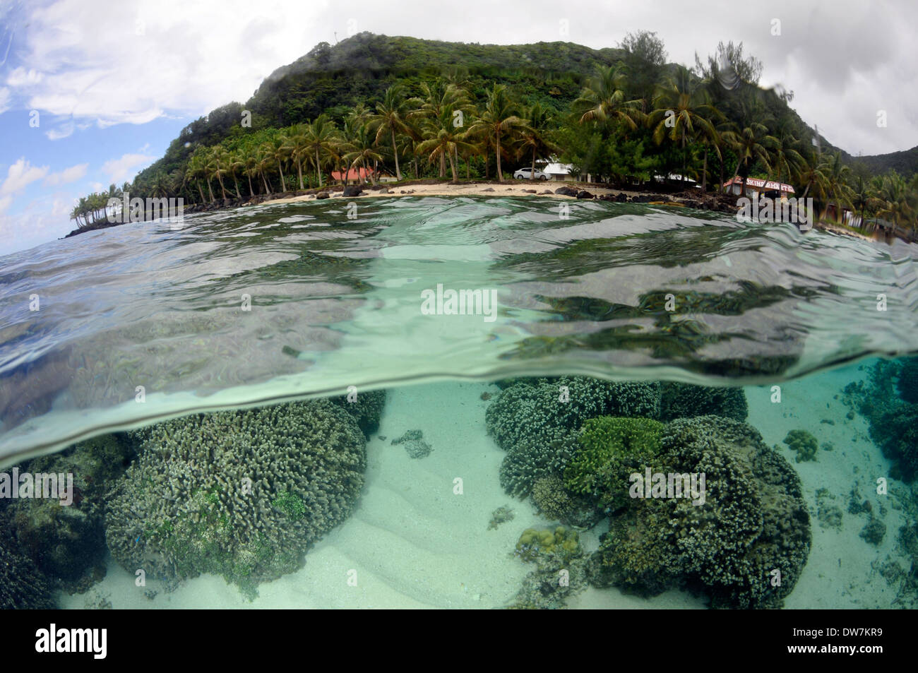 Shallow coral reef with several Acropora species and beach, Fagaitua ...