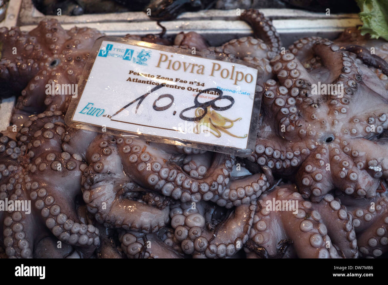 Octopus for sale at the Rialto fish market, Campo della Pescheria ...