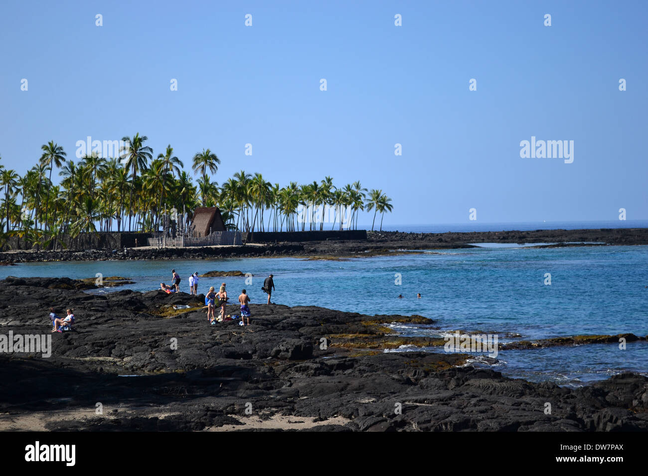 Coconut tree and rocks hi-res stock photography and images - Alamy