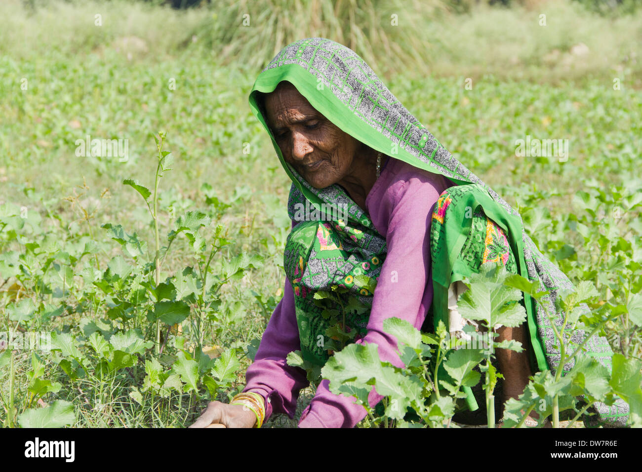 Rural ladies in traditional attire hi-res stock photography and images ...