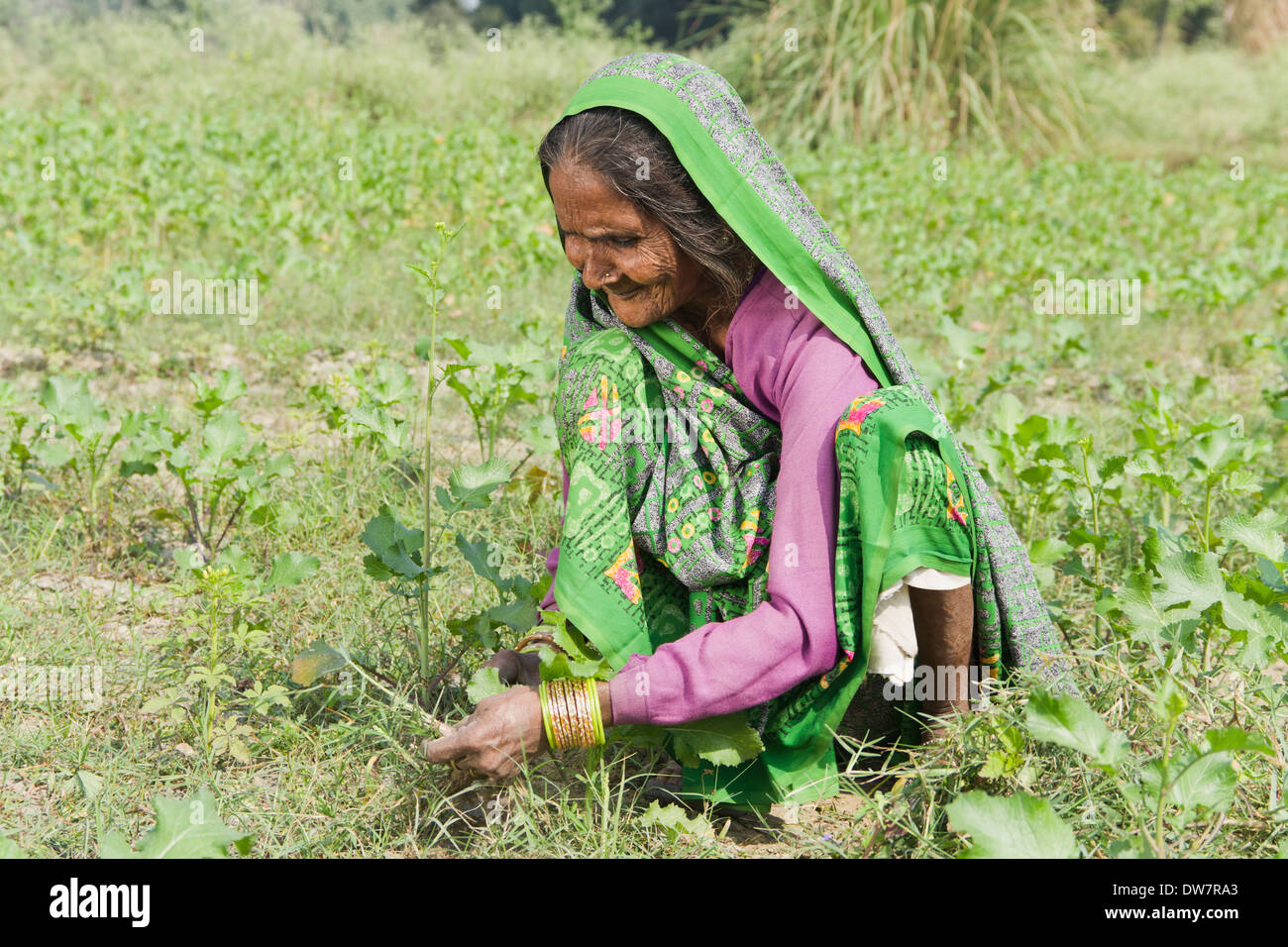 Rural ladies in traditional attire hi-res stock photography and images ...
