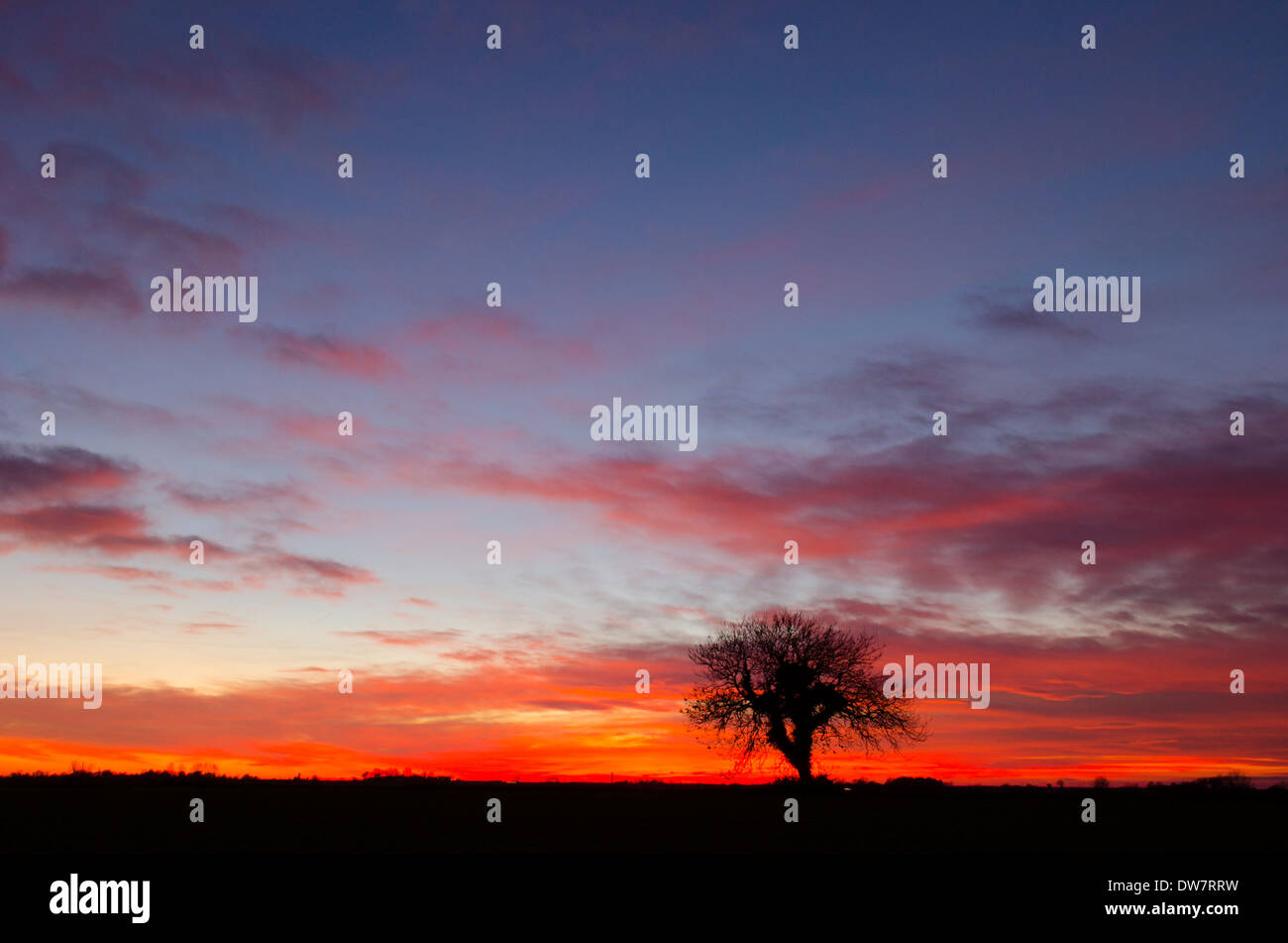 Sunset in Norfolk Broads at Martham, UK. December Stock Photo - Alamy