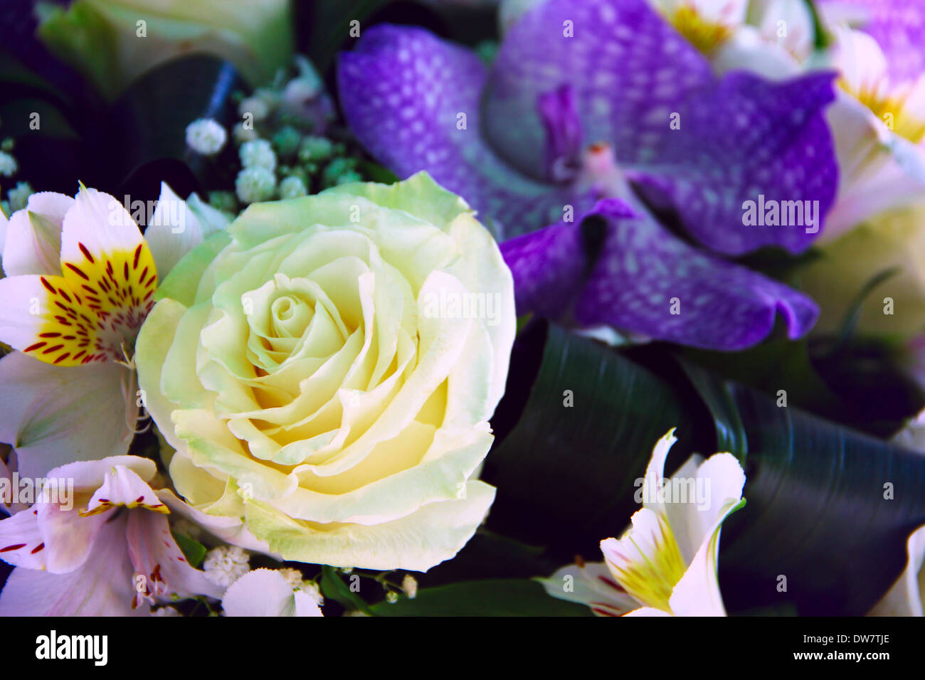 Bunch of different flowers close up background Stock Photo - Alamy