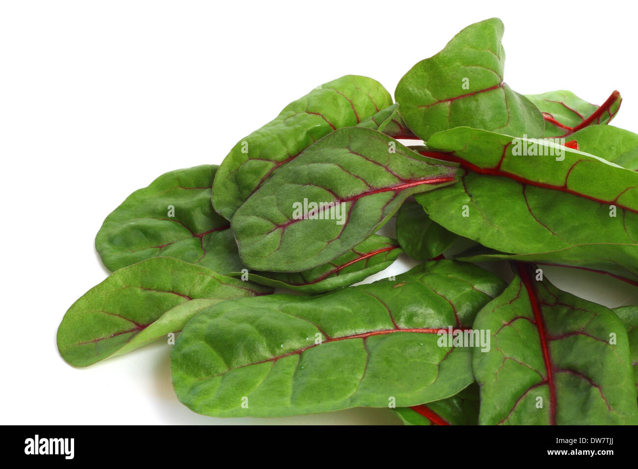 Mangold vegetable hi-res stock photography and images - Alamy