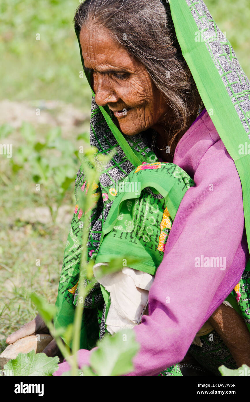 1 Indian woman working in farm Stock Photo - Alamy