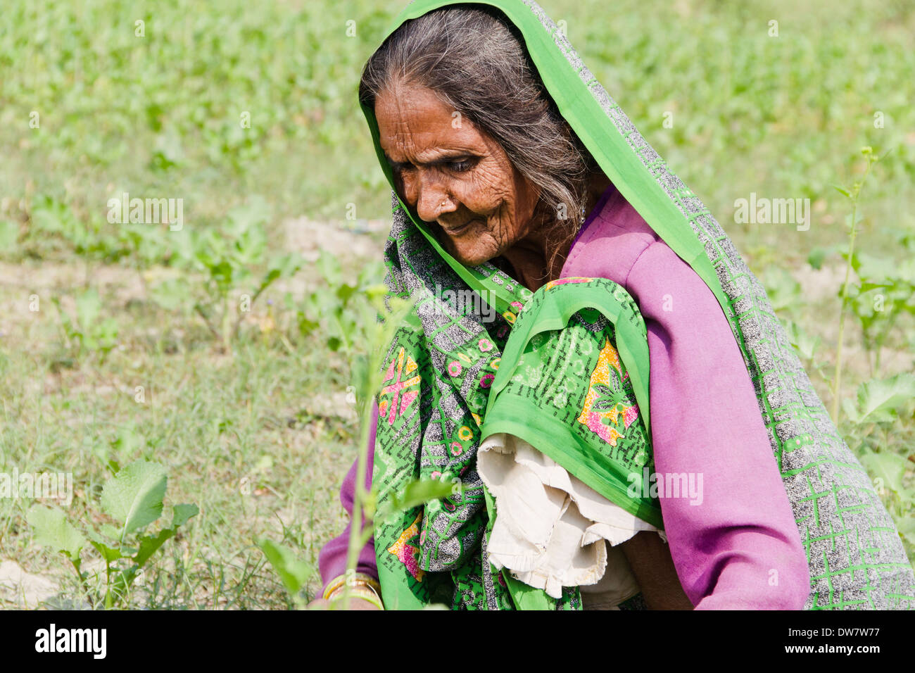 Rural ladies in traditional attire hi-res stock photography and images ...
