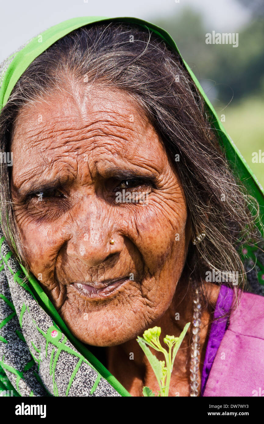 1 Indian woman working in farm Stock Photo - Alamy