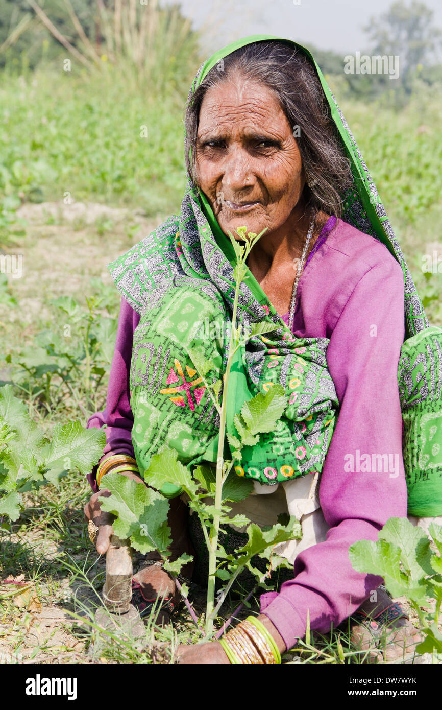 Indian woman working hi-res stock photography and images - Alamy