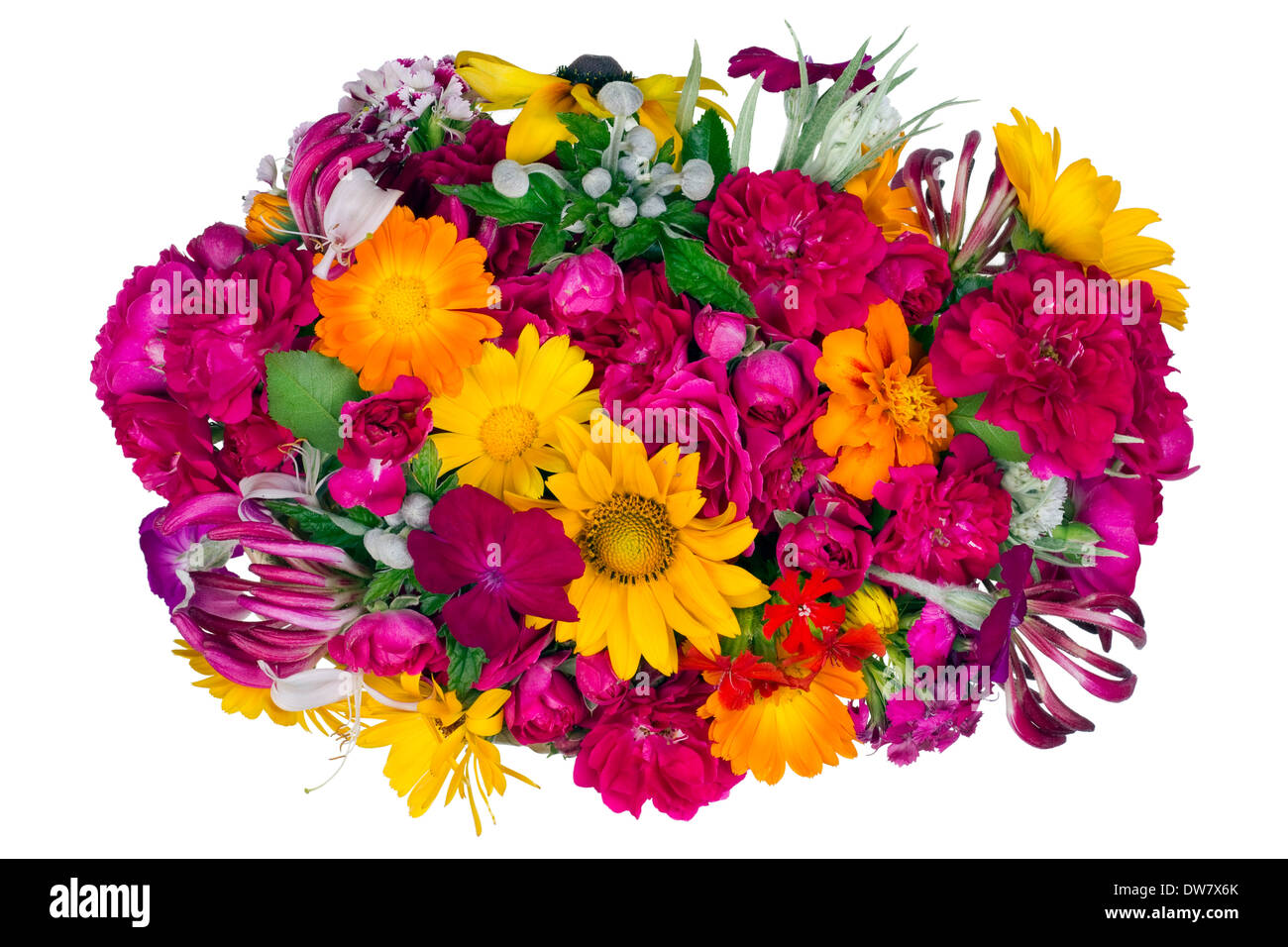 Flowers summer elliptical bed isolated concept Stock Photo - Alamy
