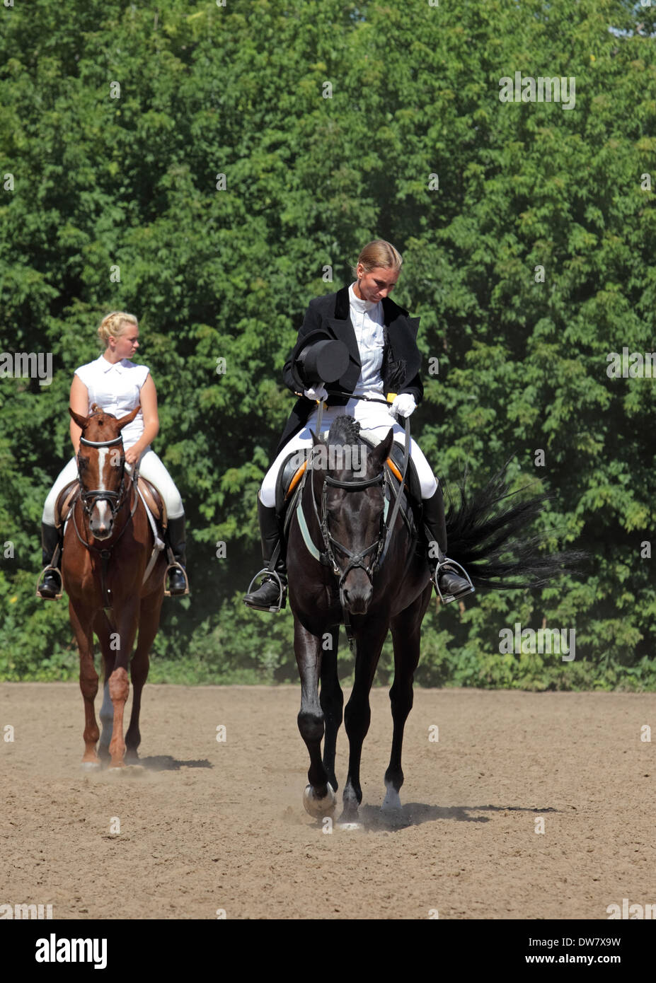 Dressage riding warmblood horse hi-res stock photography and images - Alamy