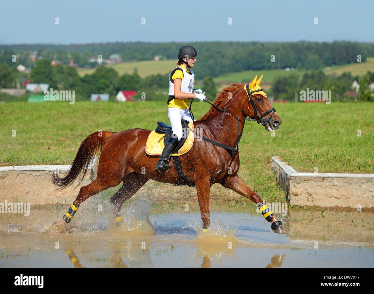 Horse race water jump hi-res stock photography and images - Alamy