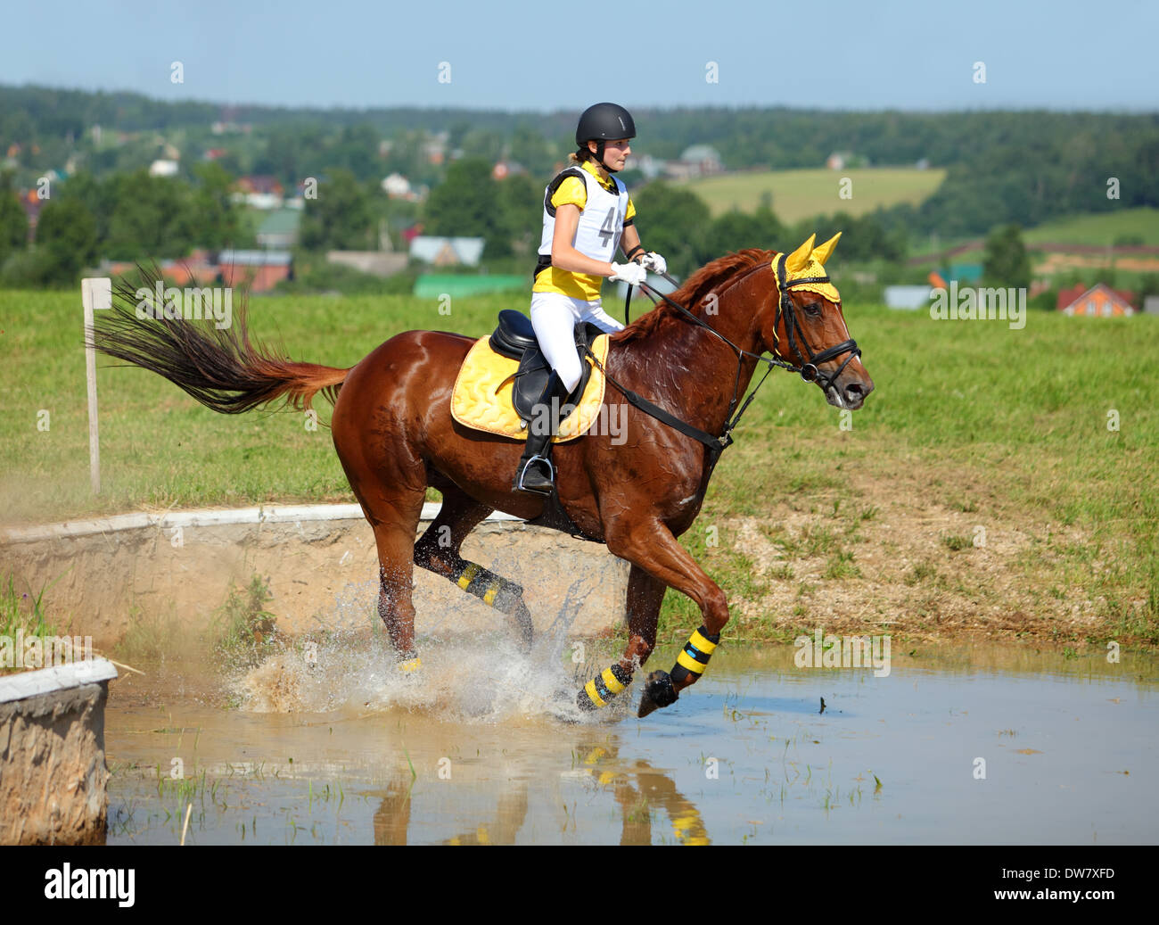 Equestrian event hi-res stock photography and images - Alamy