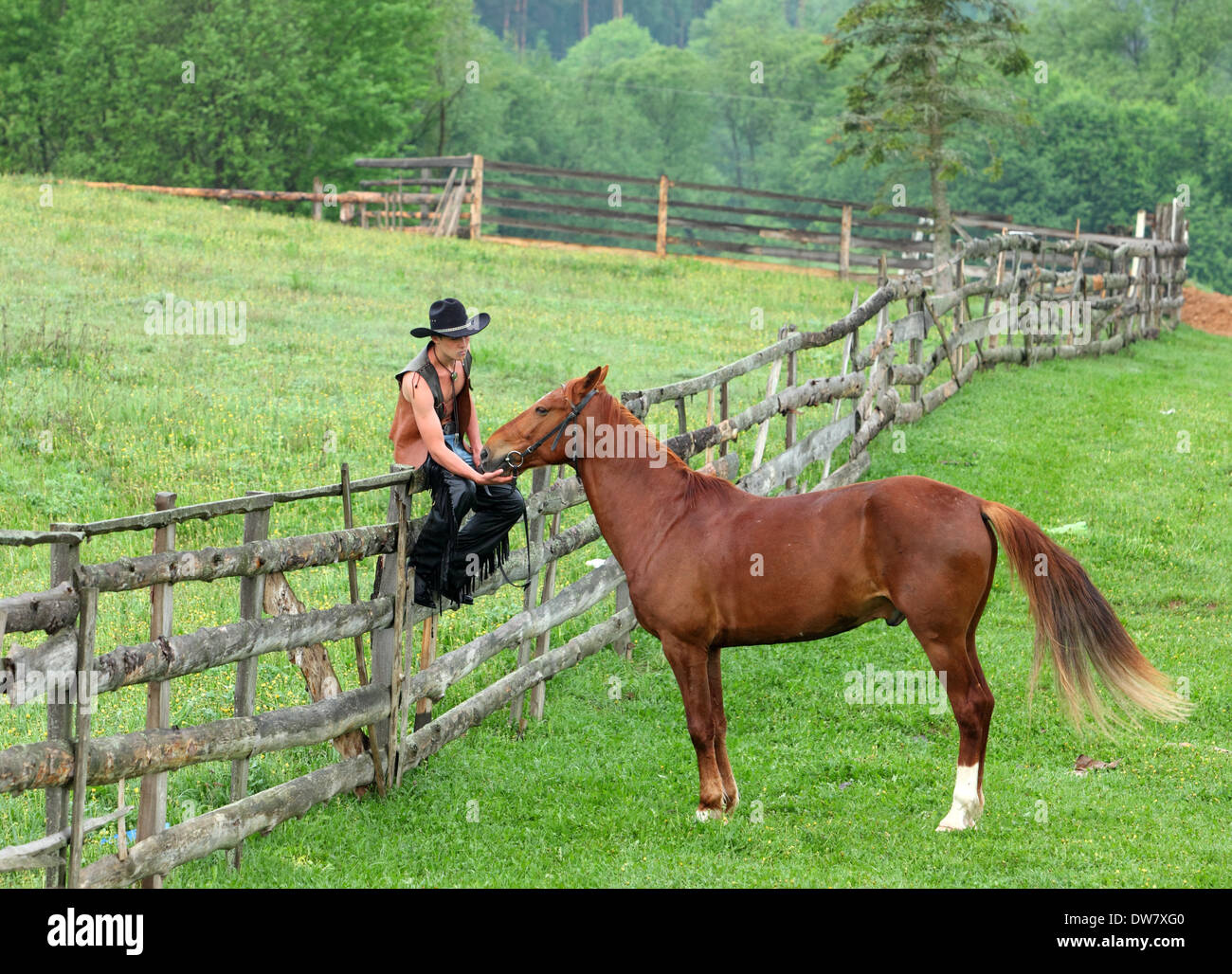 Western rider with horse in the corral Stock Photo - Alamy