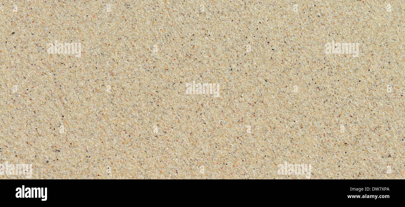 Sand texture. Sandy beach for background. Top view Stock Photo - Alamy