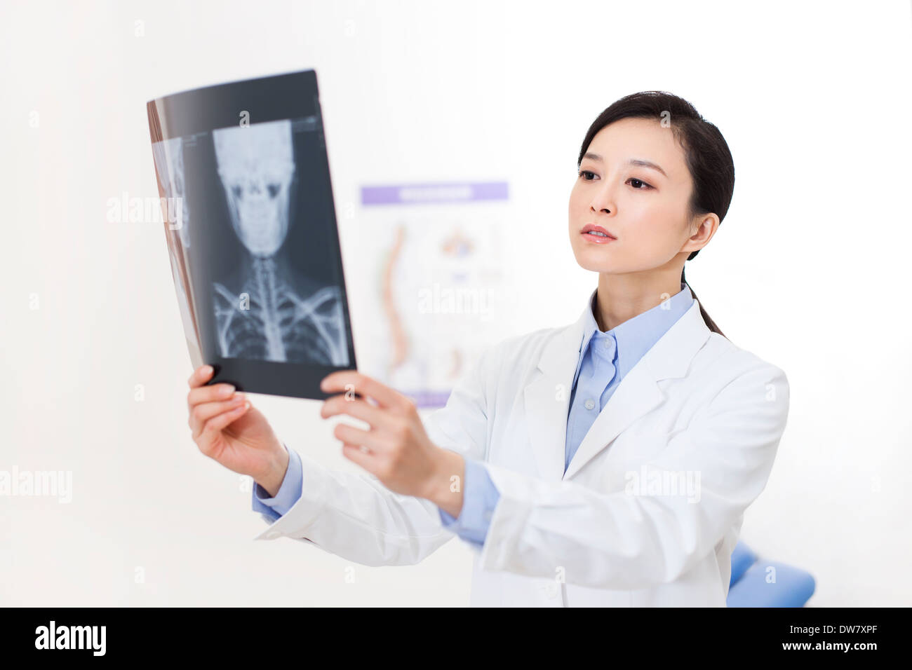 Doctor with x-ray image Stock Photo - Alamy