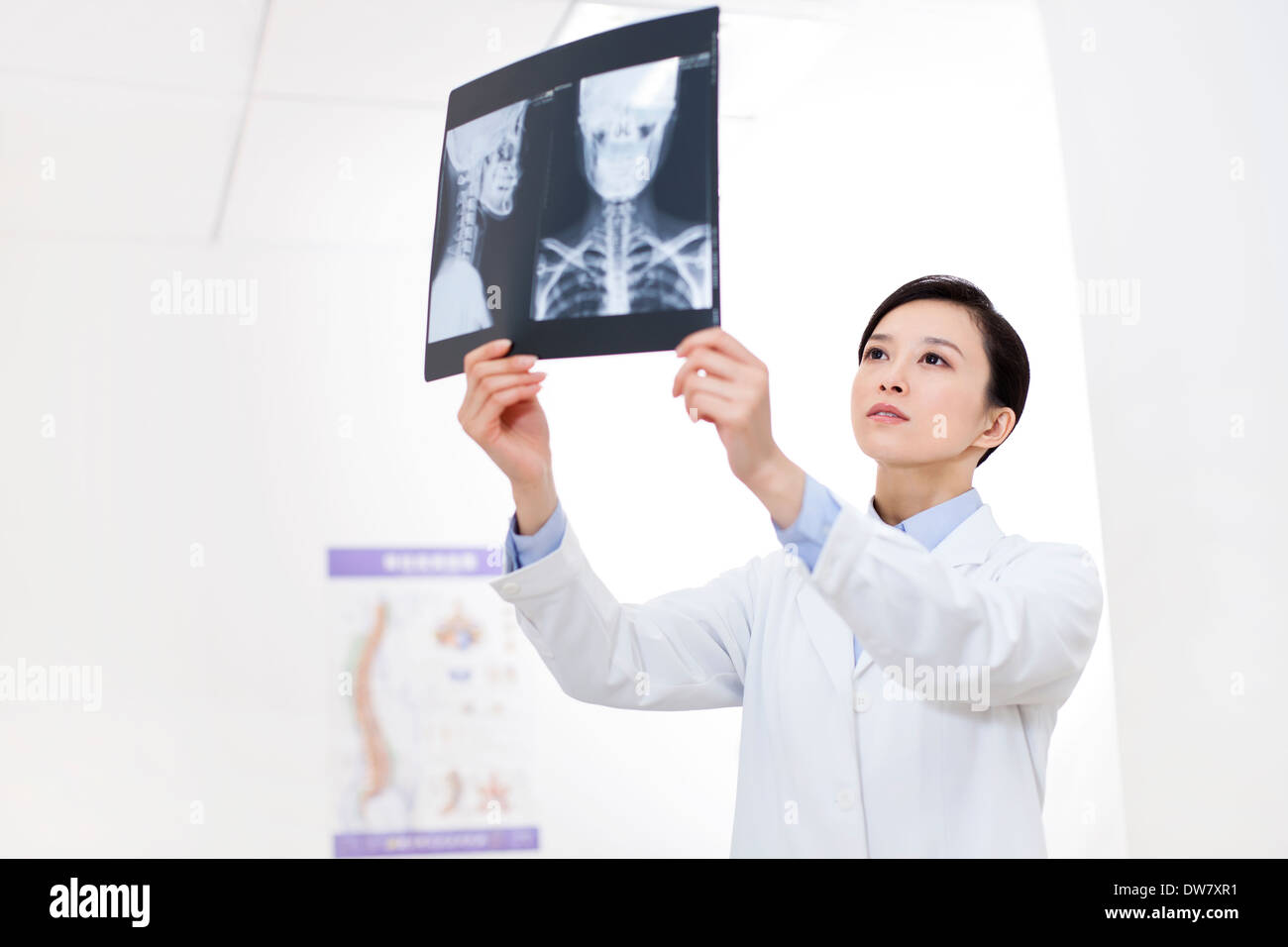 Doctor with x-ray image Stock Photo - Alamy