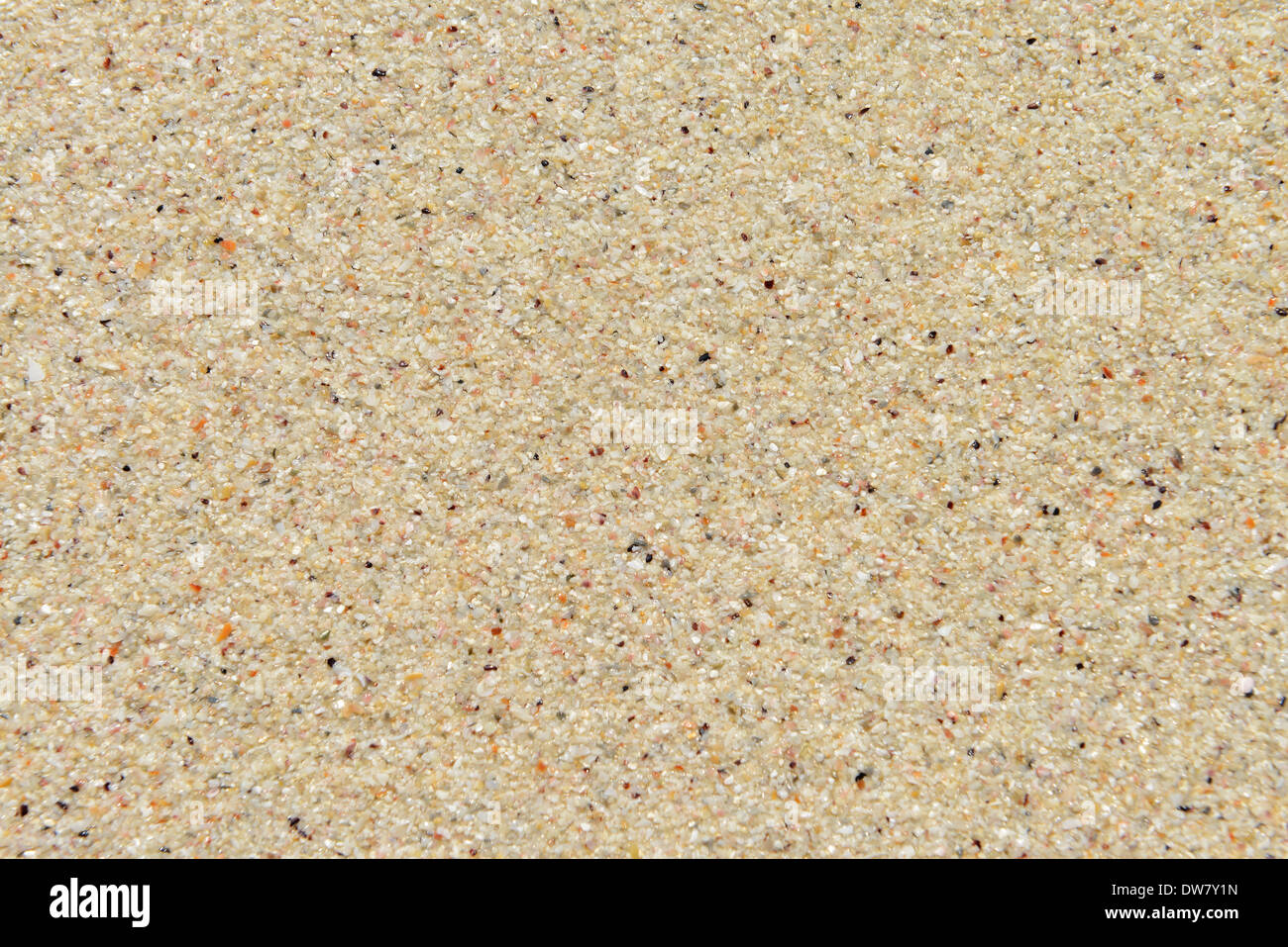 Sand texture. Sandy beach for background. Top view Stock Photo - Alamy
