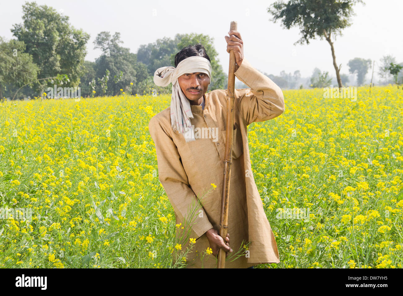1 Indian famer standing in farms Stock Photo - Alamy