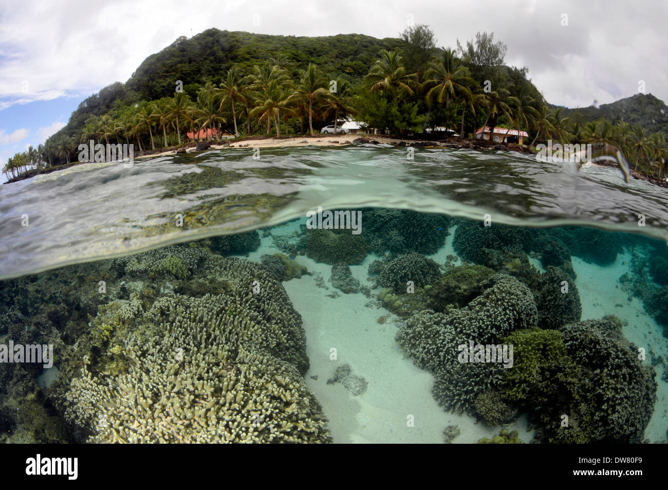 Shallow coral reef with several Acropora species and beach, Fagaitua ...