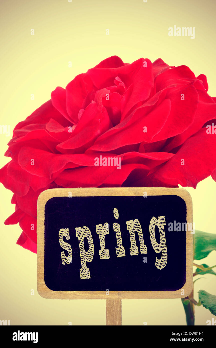 a red rose and the word spring written in a chalkboard garden label ...