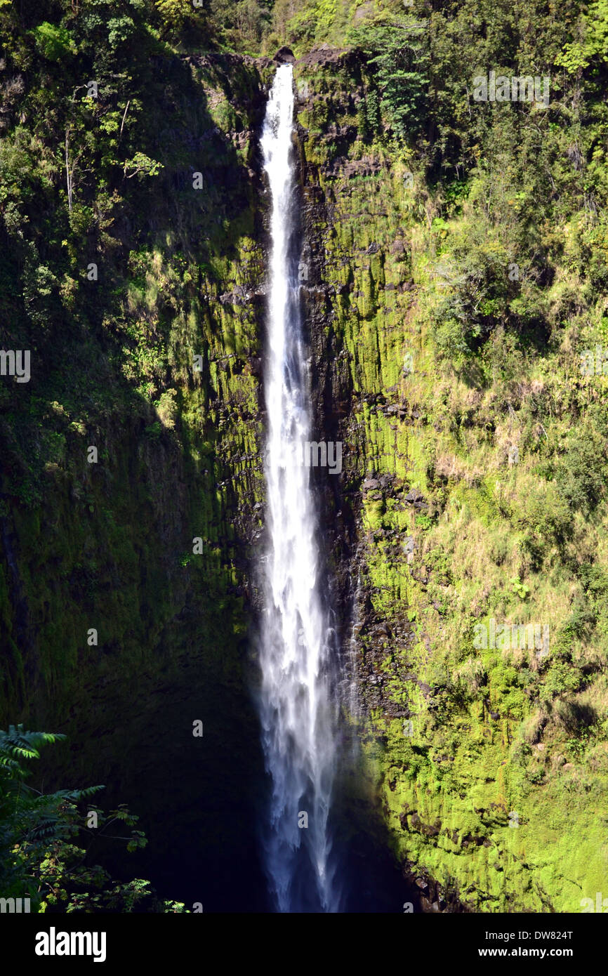 Akaka Falls in the Akaka Falls State Park, Big Island, Hawaii, USA ...