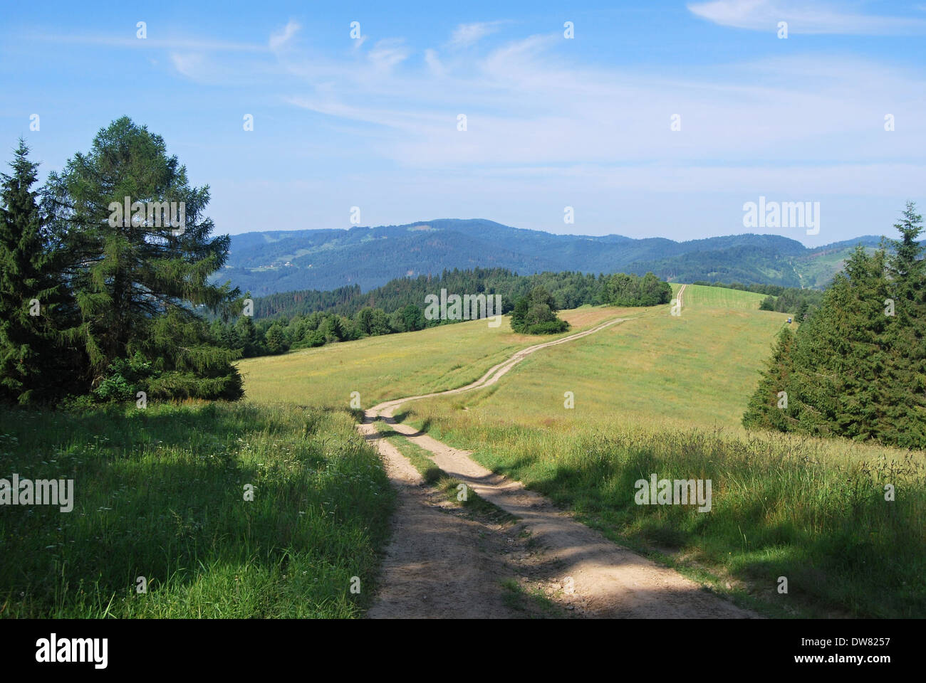 Foot path hi-res stock photography and images - Alamy