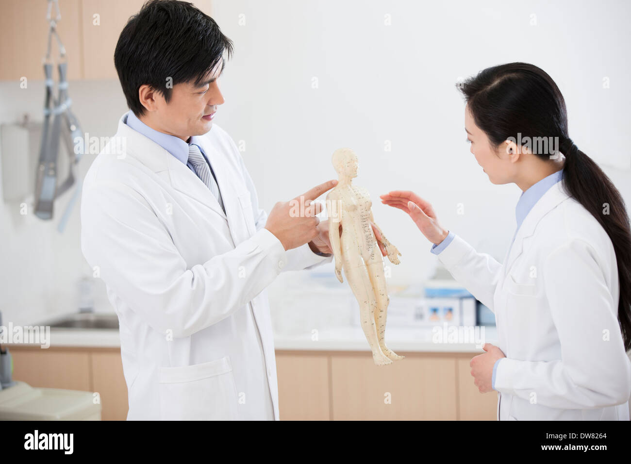 Doctors studying anatomical model Stock Photo - Alamy