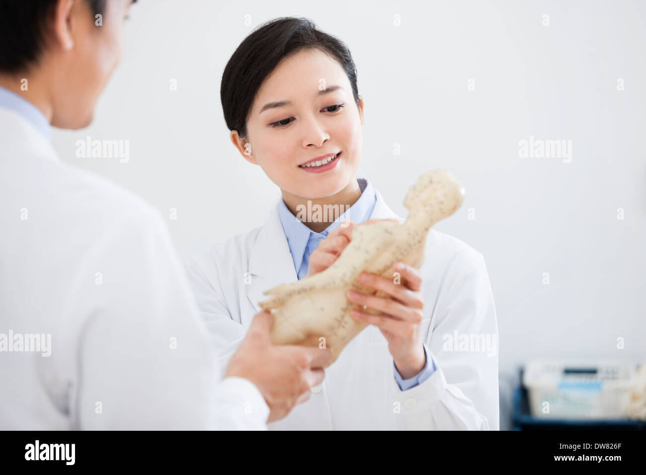 Doctors studying anatomical model Stock Photo - Alamy