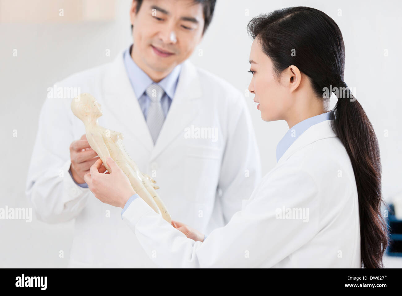 Doctors studying anatomical model Stock Photo - Alamy