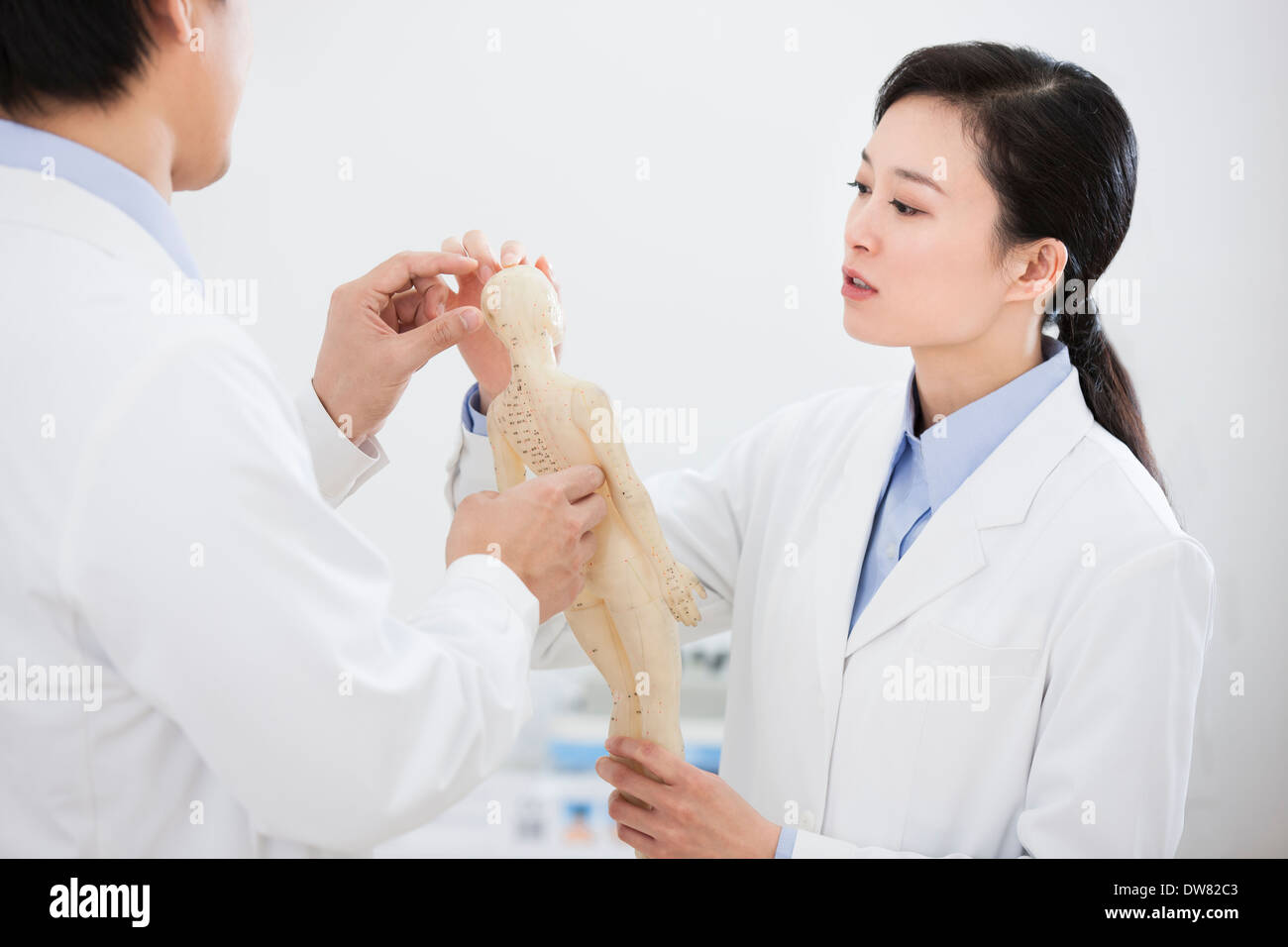 Doctors studying anatomical model Stock Photo - Alamy