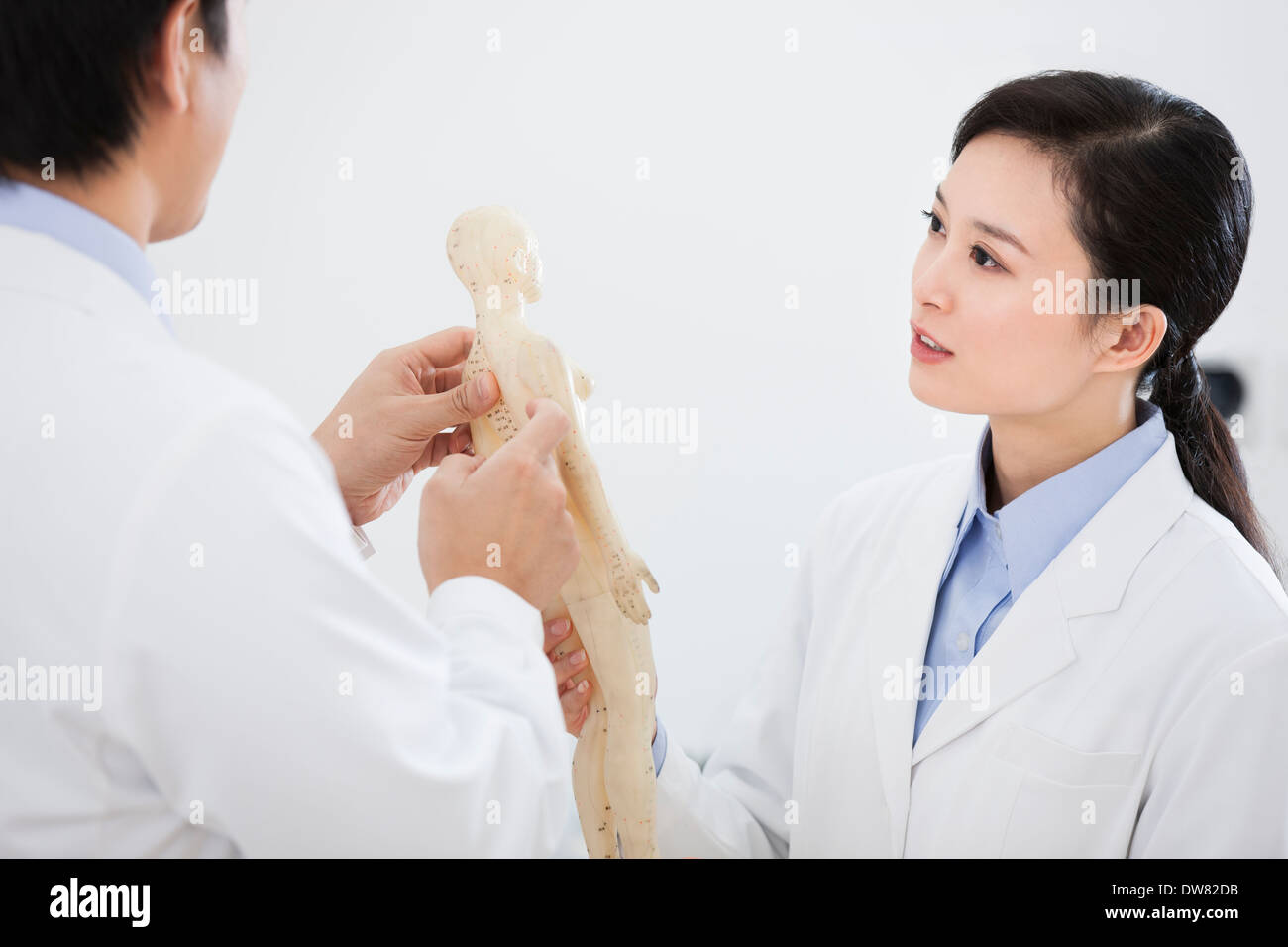 Doctors studying anatomical model Stock Photo - Alamy