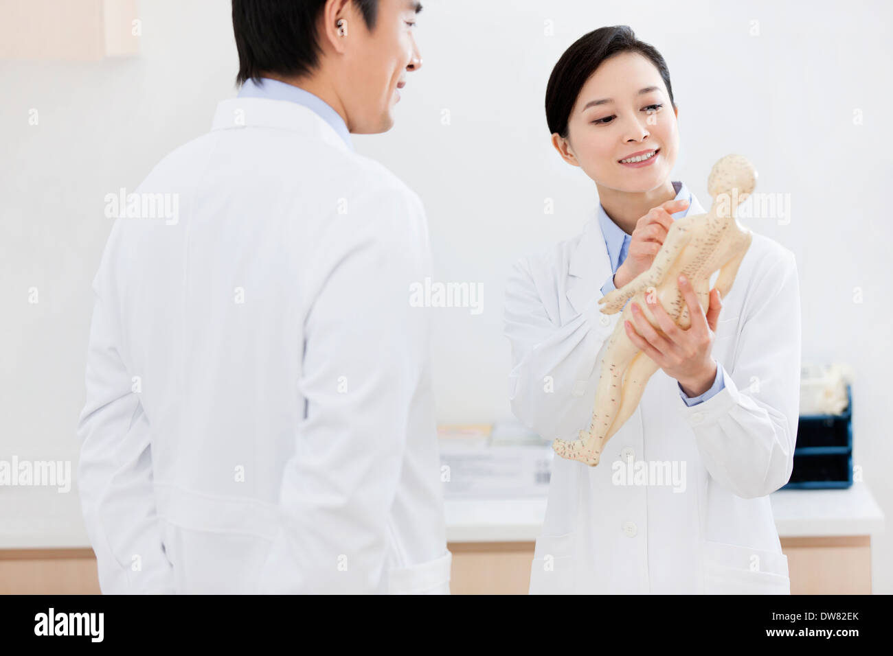 Doctors studying anatomical model Stock Photo - Alamy