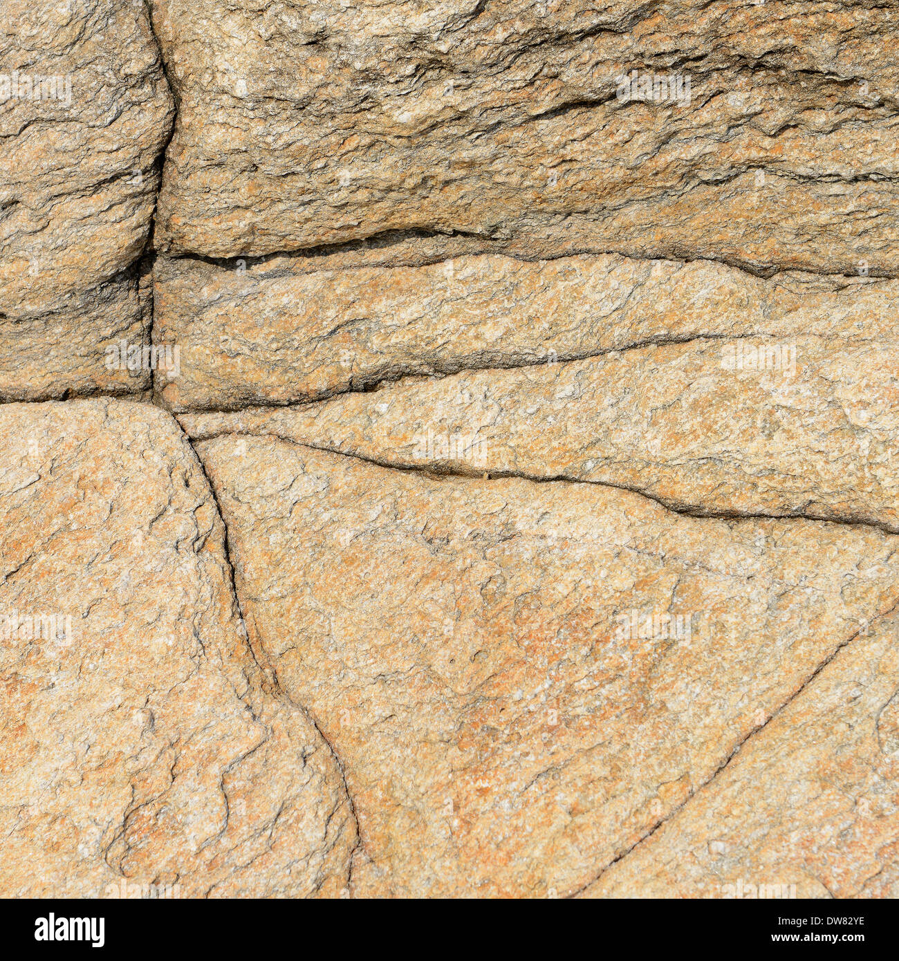 beautiful pattern and texture in Stone at the coast Stock Photo - Alamy