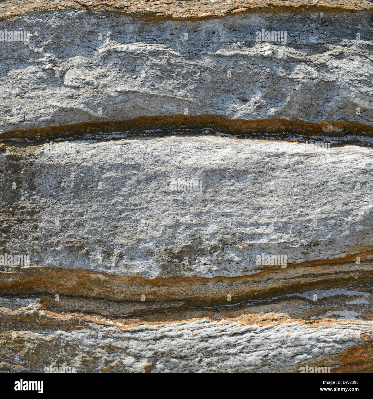 beautiful pattern and texture in Stone at the coast Stock Photo - Alamy