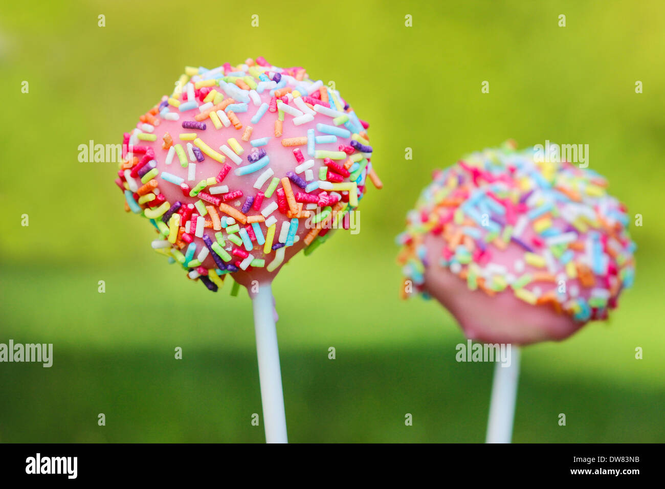 Pink cake pops on fresh green grass in a beautiful garden.Pink cake ...